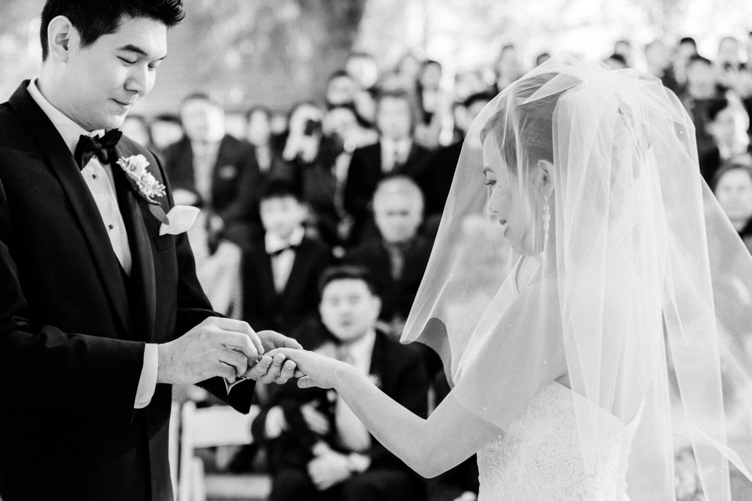 Your Guide to a Richard Nixon Library Wedding!